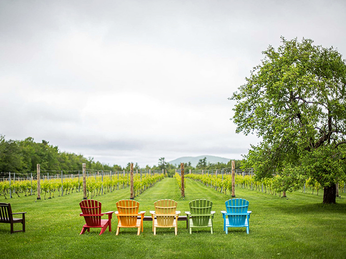 Cellardoor Winery: Rainbow-hued Adirondack chairs invite you to sip and savor. It's like a Crayola box exploded in the vineyard &ndash; deliciously!
