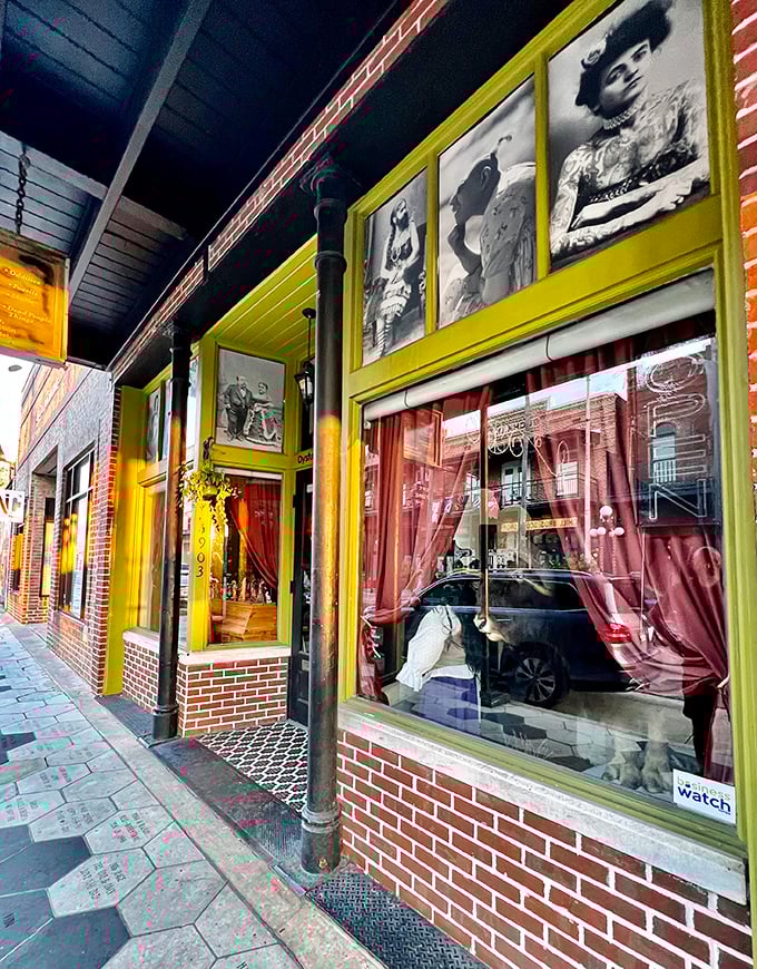 Step into a time-warp wonderland! Dysfunctional Grace Art Co. is where Victorian curiosities meet modern quirkiness, creating a visual feast that'd make Tim Burton jealous.