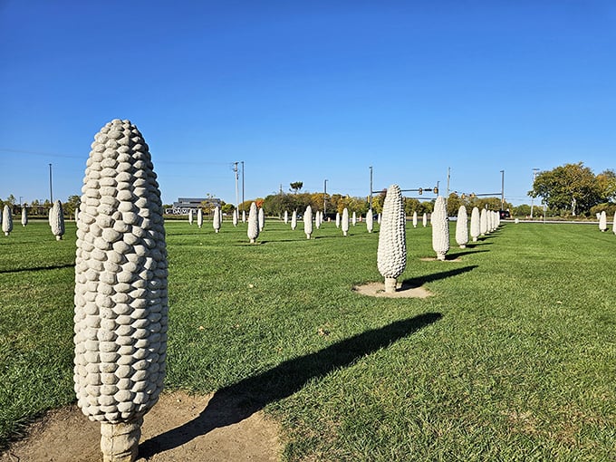 Field of Corn: "Honey, I shrunk the humans!" This surreal landscape of towering concrete corn cobs turns visitors into kernel-sized explorers.