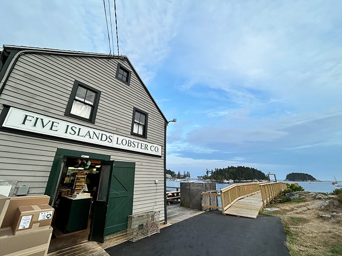 Ahoy, seafood lovers! Five Islands Lobster Co. is where lobsters go for their final, delicious curtain call. Ocean views included, no extra charge!