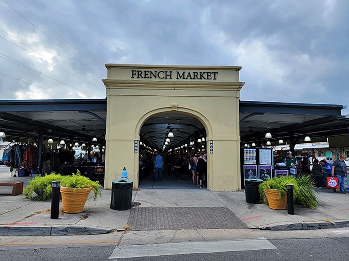 Step into the French Market: Where history meets haggling under a canopy of endless possibilities!