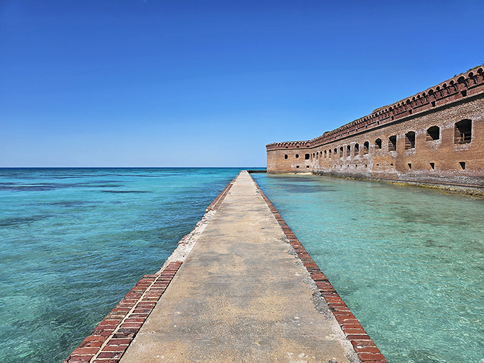 Fort Jefferson: Where paradise meets paranoia! This massive brick fortress rises from turquoise waters like a sandcastle on steroids.