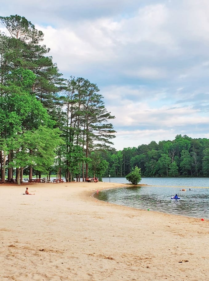 Fort Yargo's beach: Where pine trees play lifeguard and squirrels are the local beach bums. A slice of lakeside paradise that's more "Georgia on My Mind" than "Kokomo."