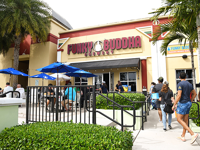 Welcome to Funky Buddha, where the beer flows and the good times grow! This sunny spot is Florida's answer to Willy Wonka's chocolate factory – for adults.