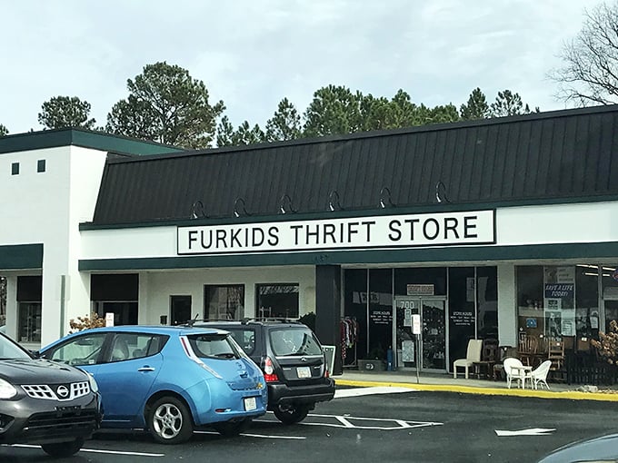 Furkids Thrift Store: Where bargains and barks collide! This Marietta gem is a treasure trove of secondhand goodies that'll have you purring with delight.