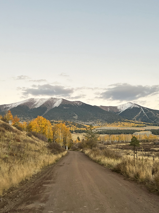 Hart Prairie Preserve: Nature's own IMAX theater! Ponderosa pines frame a view that'll make you forget your smartphone exists.