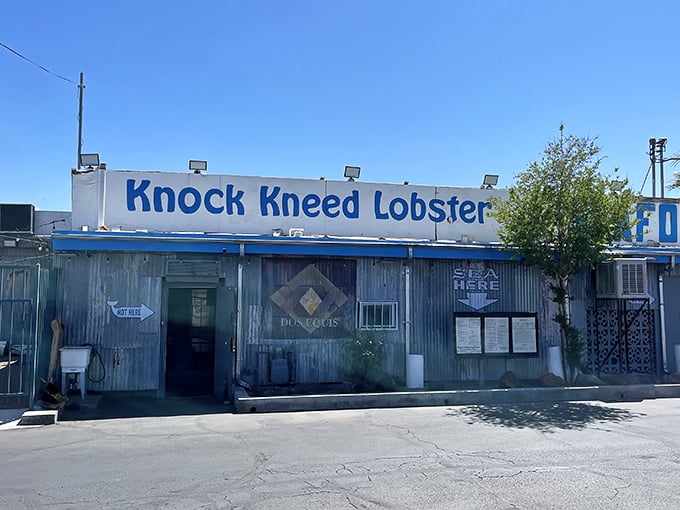 Knock Kneed Lobster: Where seafood meets simplicity! This unassuming shack might look like it's auditioning for a Wes Anderson film, but the flavors inside are pure blockbuster.