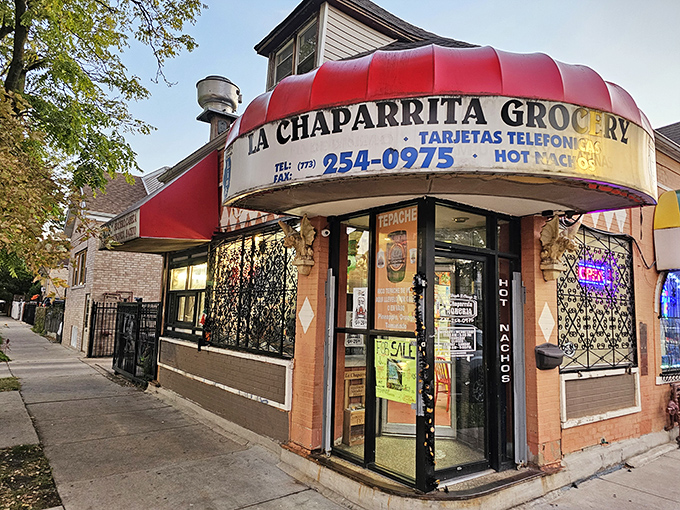 La Chaparrita: Where tacos are served with a side of time travel! This tiny grocery-turned-taqueria whisks you straight to Mexico City's bustling streets.