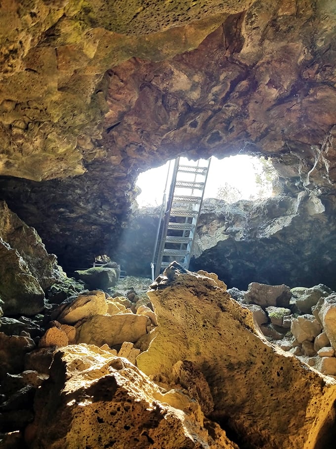 Nature's own lava lamp! Descend into this volcanic time capsule where smooth walls whisper tales of Earth's fiery past.