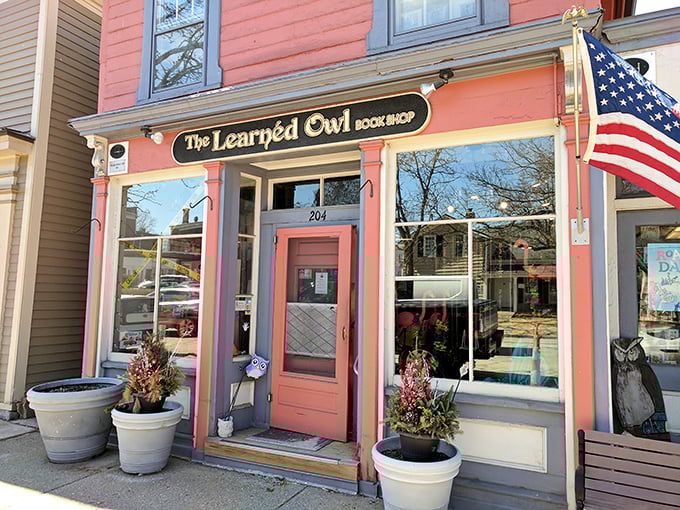 "A pink paradise for bookworms! The Learned Owl's charming facade is like a warm hug for your literary soul."