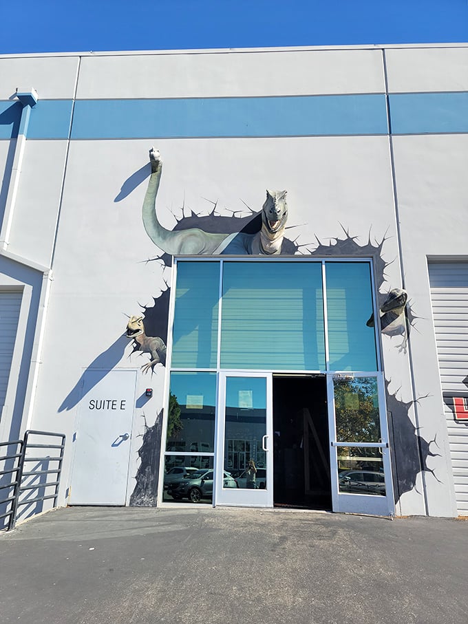 Jurassic spark meets jungle gym! This dino-mite entrance has more bite than your average playground. T-Rex approved!