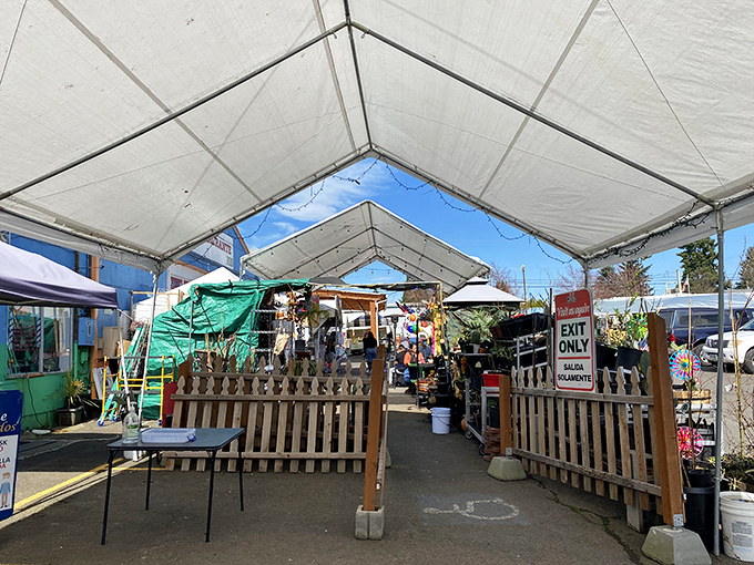 Step into M&M Marketplace, where every aisle is a passport stamp! This covered bazaar is a United Nations of treasures and treats.