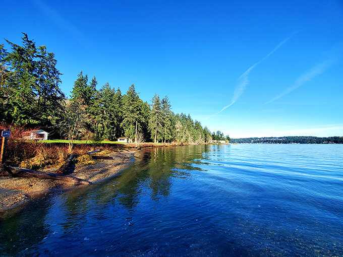 Nature's indecision at its finest! Manchester's shoreline is where forest meets sea, creating a scenic tug-of-war that'll leave you breathless.