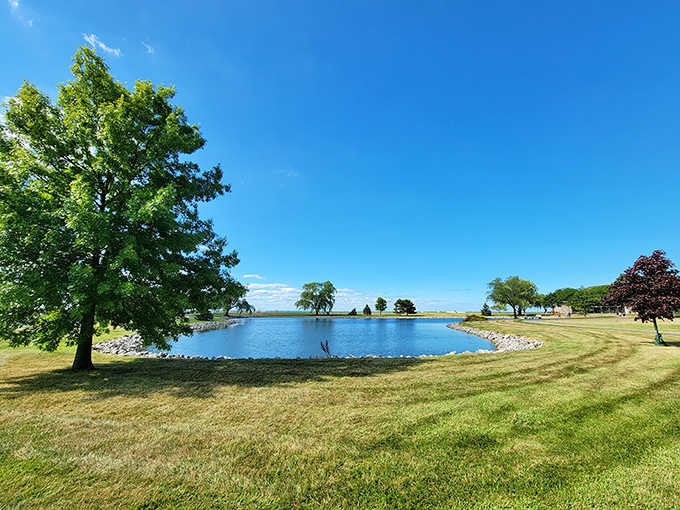 Maumee Bay's hidden oasis: Where the grass is always greener, and the water's always bluer. A slice of paradise that'll make you forget you're in Ohio!