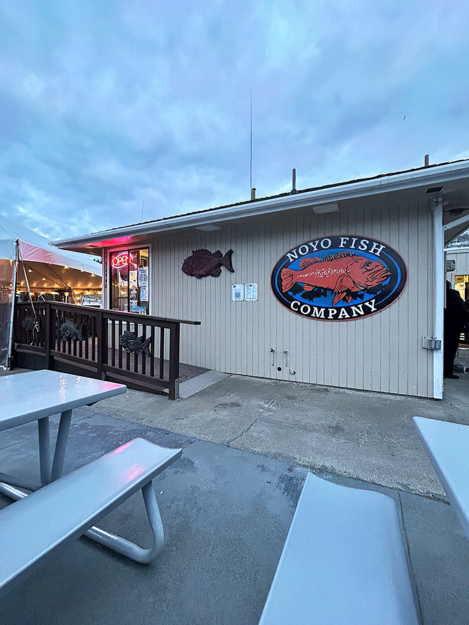Noyo Fish Company: Where the fish are so fresh, they're practically still swimming! This charming shack is a seafood lover's dream come true.