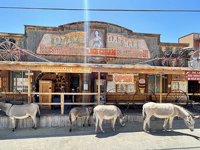 Oatman General Store: Wild West meets petting zoo! Where else can you shop for cowboy hats while dodging friendly burros?