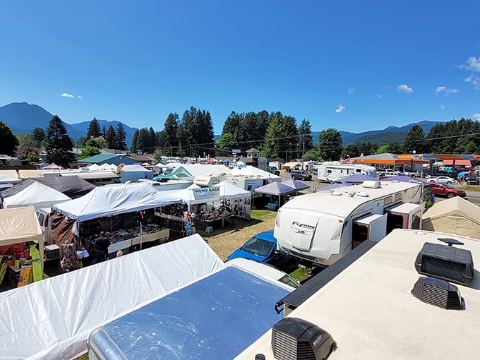 Packwood's treasure trove: Where mountain views meet vintage finds. A bargain hunter's paradise nestled in nature's embrace!