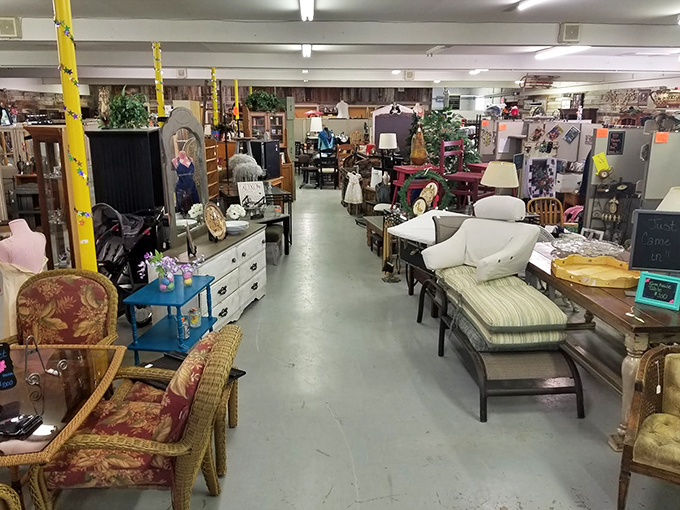 Step right up to the treasure hunt! Rediscovered Treasures Flea Market is a wonderland of vintage finds and quirky knick-knacks.