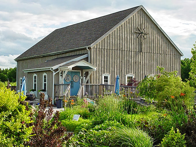 Sarah's Vineyard: Where rustic charm meets vineyard bliss. This barn-turned-winery looks like it was plucked from a storybook, complete with a whimsical blue door.