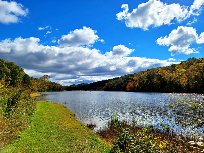 Nature's own masterpiece! Shawnee's lake reflects autumn's fiery palette, creating a scene Bob Ross would envy. Serenity: 10/10, mosquitoes: negotiable.