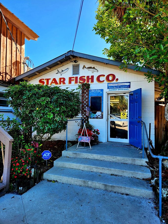 A hidden gem that's not so hidden anymore! Star Fish Co. serves up seafood so fresh, you'll swear the fish jumped straight from the Gulf to your plate.
