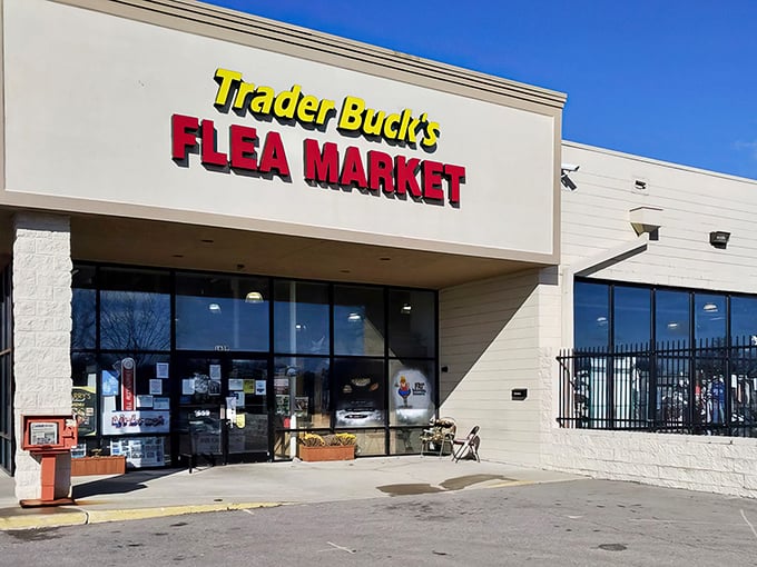 Trader Buck's: Where treasure hunting meets time travel! Step into this Indy wonderland and prepare for a nostalgia overload.