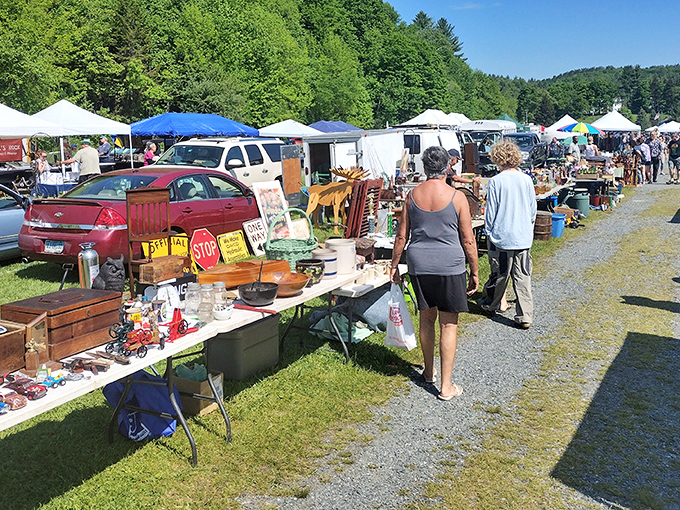 Welcome to treasure hunter's paradise! The Norwich Farmers Market is where Vermont's finest produce meets flea market finds. It's like a garage sale threw a party and invited all the local farmers.