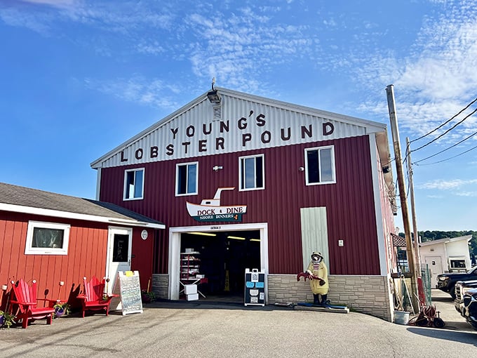 Young's Lobster Pound: Where 'tank to table' isn't just a catchy phrase, it's a way of life. BYOB and an appetite!