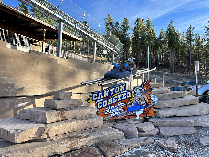 All aboard the Canyon Coaster! It's like sledding through a forest, but with less snow and more "yee-haw!" moments.