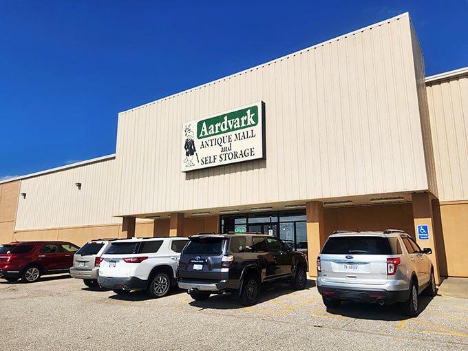 Step into a time machine disguised as a mall. Aardvark Antique Mall: where every aisle is a trip down memory lane.