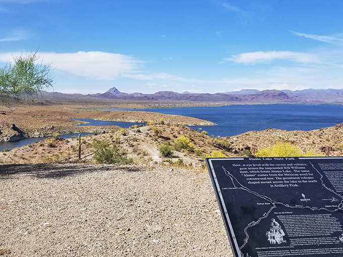 Desert oasis: Where rugged landscapes meet serene waters at Lake Havasu State Park, Arizona's hidden gem of natural beauty and adventure.