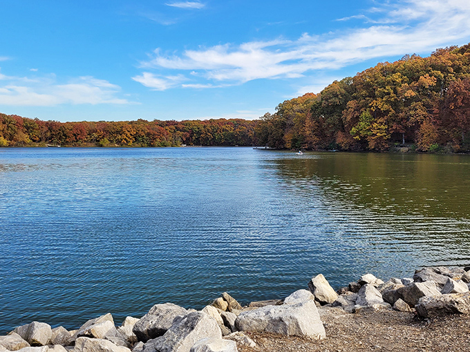 Autumn's paintbrush transforms Beaver Dam into a masterpiece. It's like Mother Nature's own Bob Ross moment – happy little trees everywhere!