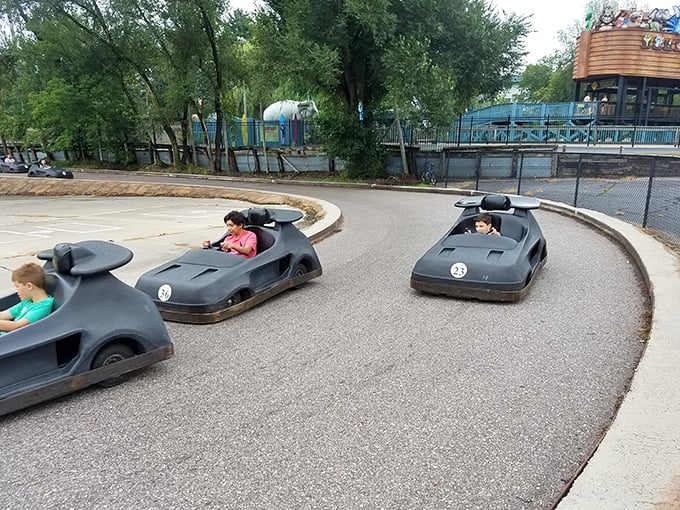 Ready, set, go! These mini-racers are lined up like eager contestants at the world's tiniest Grand Prix.