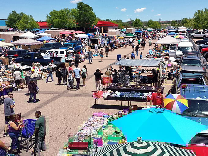Treasure hunter's paradise! From vintage lamps to quirky knick-knacks, it's like your grandma's attic went on a shopping spree.