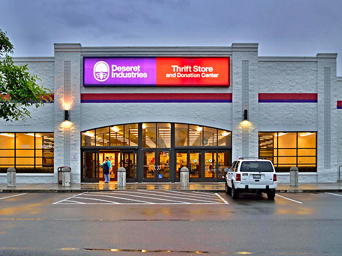 Thrift Town: Where every aisle is a potential runway and yesterday's trends become tomorrow's vintage gold. Happy hunting!