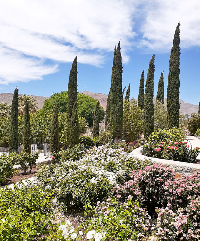 Blooms burst forth in a riot of color. It's as if Mother Nature decided to paint the town red... and pink, and yellow!
