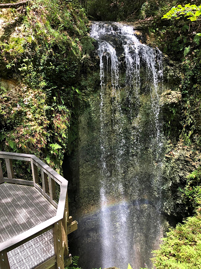 Talk about a disappearing act! This 73-foot waterfall vanishes into the earth like a magician's rabbit, leaving you wondering, "Where'd it go?"