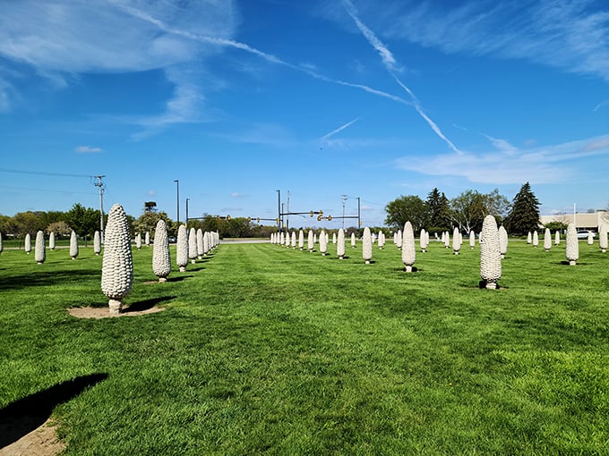 Field of Corn: A-maize-ing sight! These giant ears stand at attention, like a veggie Stonehenge waiting for the mothership to return.