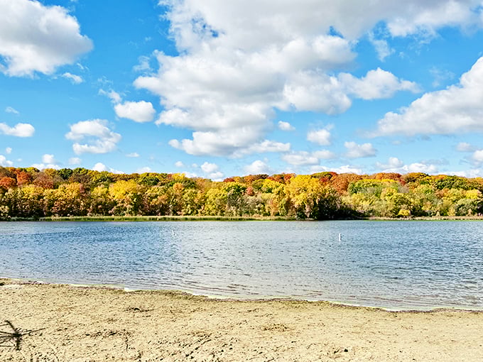 Autumn paints Fish Lake in Technicolor. It's like Mother Nature's own Bob Ross masterpiece, minus the "happy little trees."