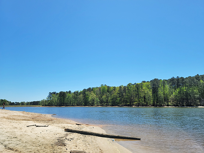 Kayaks dot the water like colorful fish, while the sandy shore beckons like a siren's call. Fort Yargo's beach: nature's answer to the concrete jungle.