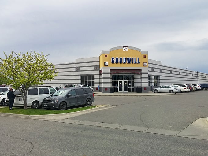 Thrift store or time machine? Step into Goodwill and prepare for a journey through decades of fashion and forgotten gems.