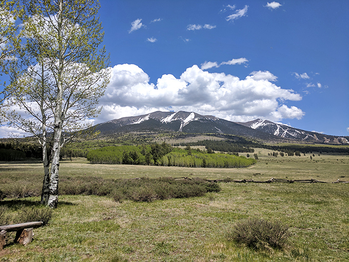 Who needs CGI? Hart Prairie's wildflower-dotted meadows and mountain backdrop are better than any green screen Hollywood could dream up.