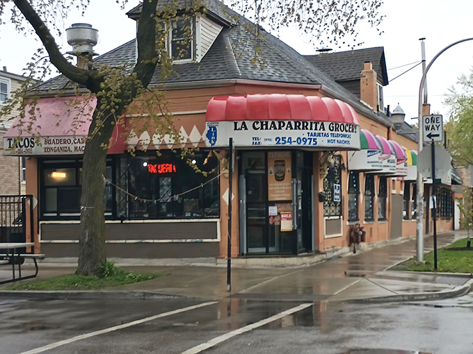 Taco paradise found! La Chaparrita's cozy corner serves up authenticity by the plateful, making every bite a fiesta for your taste buds.