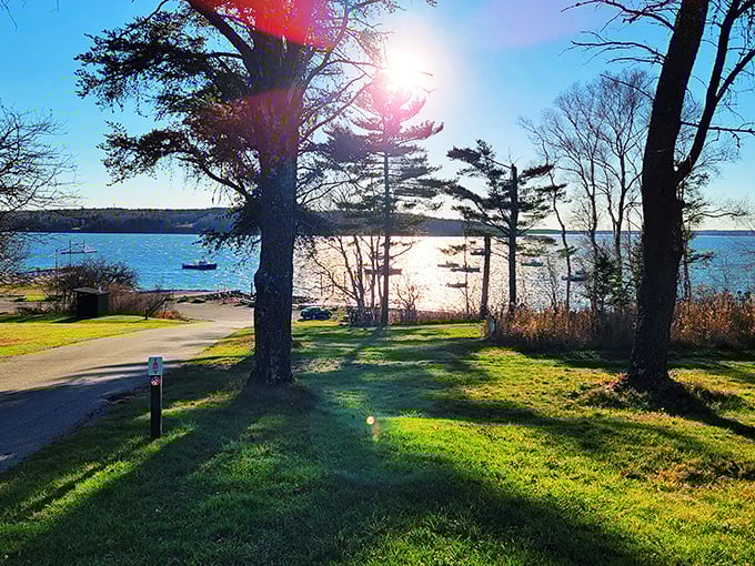 Sun-kissed shores and tree-lined horizons. Lamoine State Park: where "rush hour" means a flock of seagulls at sunset.