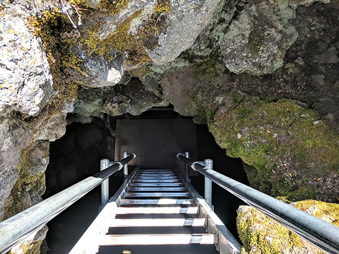 Stairway to the center of the Earth? Not quite, but these ancient lava tubes are the next best thing!
