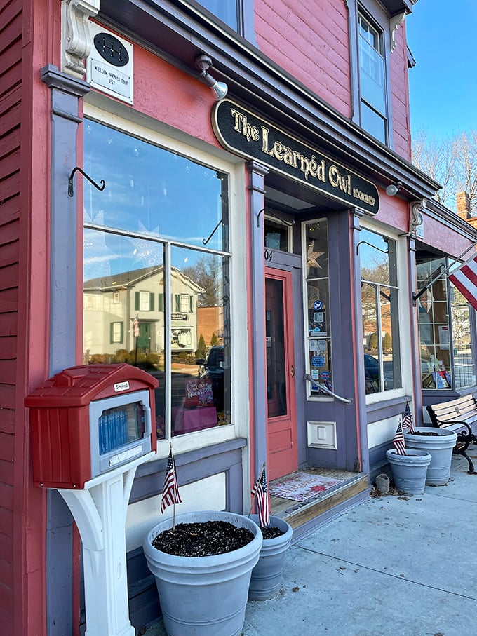 "Books and flags, oh my! This cozy nook is where stories come to nest and readers spread their wings."