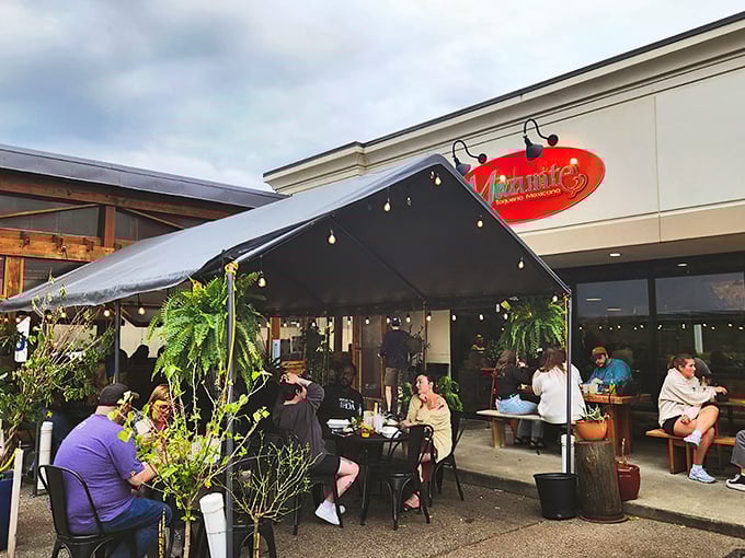 "Forget the Fountain of Youth&mdash;Mazunte's vibrant patio is where the real magic happens. Tacos and twinkle lights? Yes, please!"
