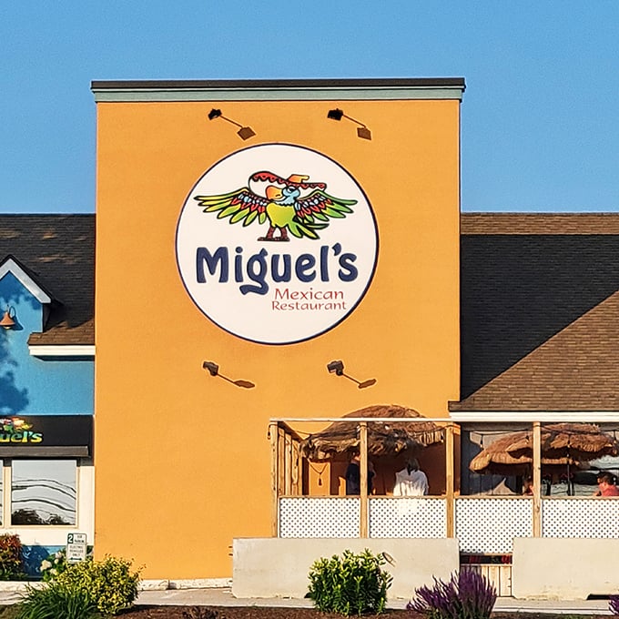 Parrot paradise or taco heaven? Miguel's colorful sign promises a south-of-the-border adventure in the heart of Bangor.
