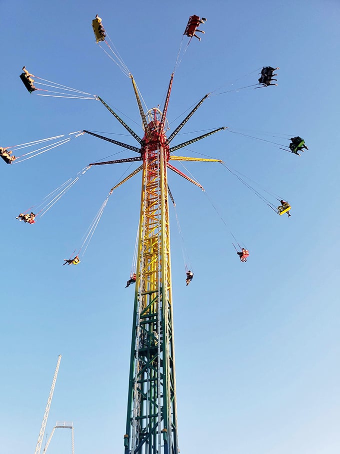 Night falls, but the thrills rise. This glowing water slide is Poseidon's revenge on landlubbers seeking aquatic adventures.