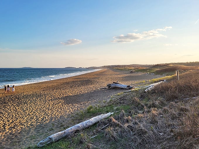 Nature's own IMAX screen unfolds here. Grab some popcorn (or a lobster roll) and enjoy the show of waves and wildlife.